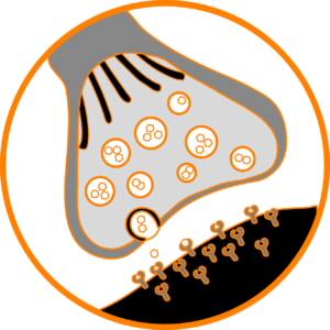 Mind Control Body Control - Katherine Dire